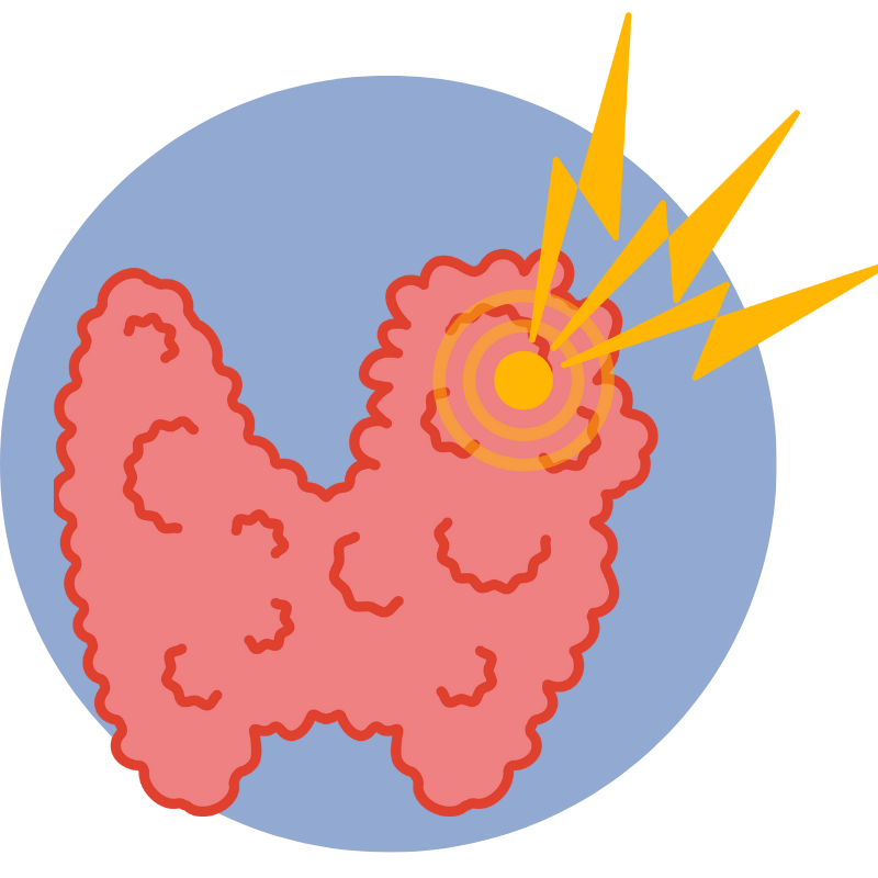 TSH | Logopeda Granada